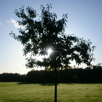 Shanganagh Park - Park