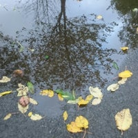 Shanganagh Park - Park