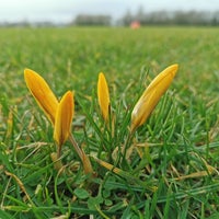 Shanganagh Park - Park