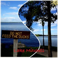 Lake Mitchell - 5 tips from 315 visitors