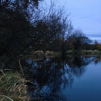 Bookham Railway Station (BKA) - 3 tips from 111 visitors