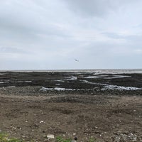 Carter Road Promenade - Bandra West - Naushad Ali Marg