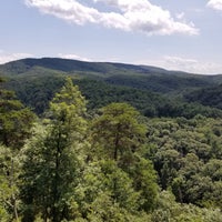 Green Ridge State Forest - Forest in Flintstone