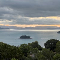 One Tree Hill - Scenic Lookout