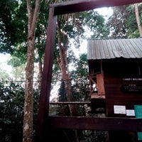 Canopy Walkway, FRIM