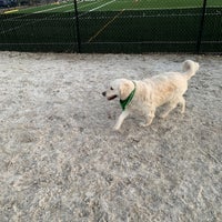 Canton Dog Park - Dog Park in Baltimore