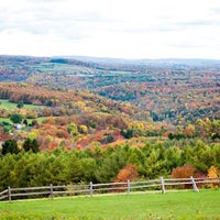 Highland Forest - 6 tips