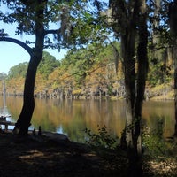 Caddo Lake - Lake