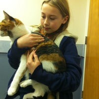 Dickson Animal Clinic - 2 tips