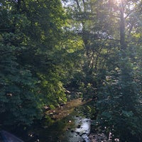 Jesmond Dene Nature Area - Jesmond