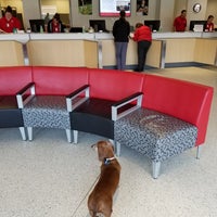 Ohio State Veterinary Medical Center - 3 tips