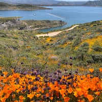 Diamond Valley Lake - 7 tips from 328 visitors