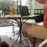 Java Jungle - Coffee Shop