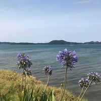 One Tree Point - Harbor / Marina