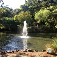 Auckland Domain Pond - Grafton - 1 tip from 194 visitors