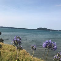 One Tree Point - Harbor / Marina