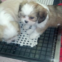 Pets R' Inn - West Acres - Fargo, ND