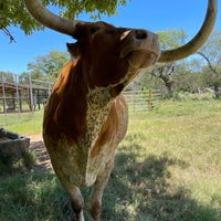 Texas White House - 687 Hodges Ranch Rd