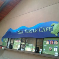 Sea Turtle Cafe - Café