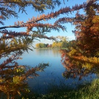 Lake Tuggeranong - Greenway - 8 tips
