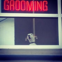 Downtown Dog Lounge (Now Closed) - Interbay - 5 tips from 226 visitors