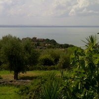 Monte del Lago - Scenic Lookout