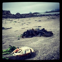 Quileute Indian Reservation - 1 tip