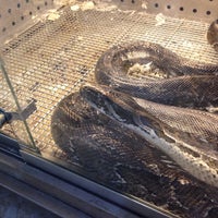 Snake Alley - Wànhúa Qū - 1 tip