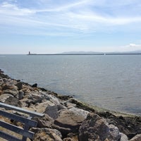 Bull Island - 8 tips