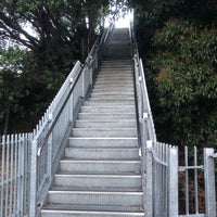 Jacobs Ladder - Hiking Trail in Central Auckland