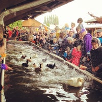 The Farm at Swan's Trail - 14 tips from 1276 visitors