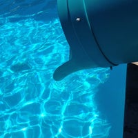 Marinwood Pool - Marinwood - 3 tips from 122 visitors