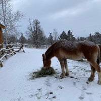 Crystal Peaks Youth Ranch - Other Great Outdoors in Bend