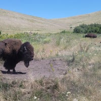National Bison Range - Nature Preserve