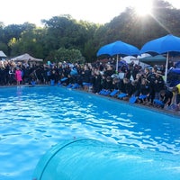 Marinwood Pool - Marinwood - 3 tips from 120 visitors