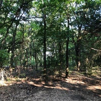 Loyd Park Joe Pool Lake - Campground