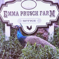 Emma Prusch Farm Park - 17 tips from 926 visitors