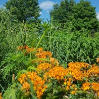 Volo Bog State Natural Area - Nature Preserve in Ingleside