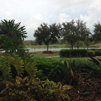 The Vineyard Grill (Now Closed) - New American Restaurant in Orlando