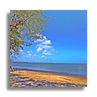 Vessigny Beach - La Brea, St Patrick