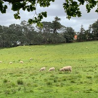 One Tree Hill Domain - Park