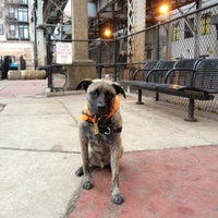 Coliseum Park - Dog Run in Chicago