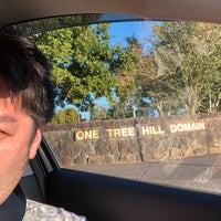 One Tree Hill Domain - Park