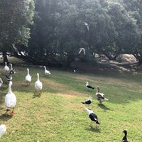 Western Springs Park - Western Springs - 731 Great North Rd