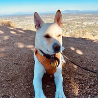 Pilot Butte State Park - State or Provincial Park