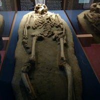 Nathalie P. and Alan M. Voorhees Archaearium - Historic and Protected ...