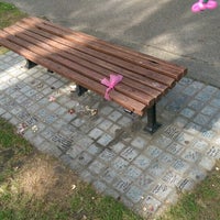 Good Will Hunting Bench - General Entertainment in Beacon Hill