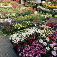 Wochenmarkt Karl-August-Platz - Charlottenburg - Karl-August-Platz