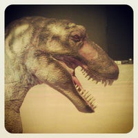 Queensland Museum - Grey St