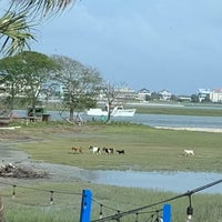 Murrells Inlet Marsh Walk - 19 tips